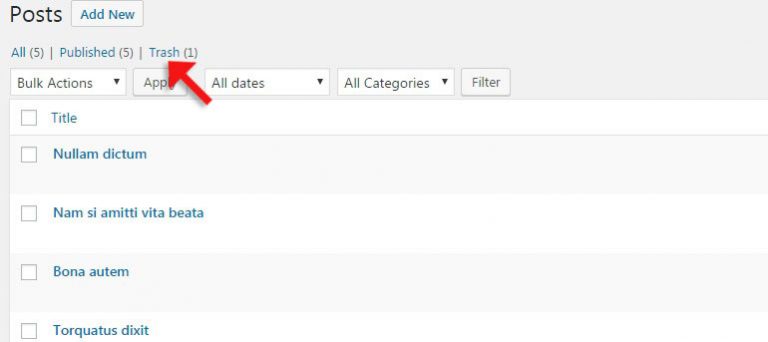 How to Reduce the Size of Your WordPress Database | FastComet