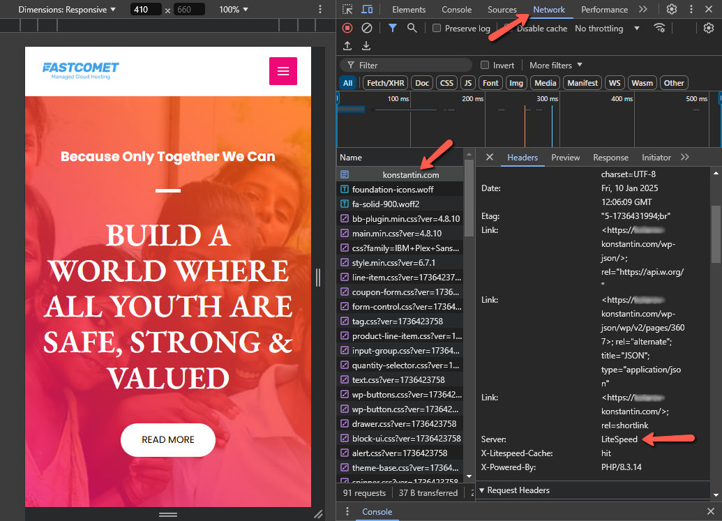 How to Make the Most of LiteSpeed Cache for WordPress | FastComet