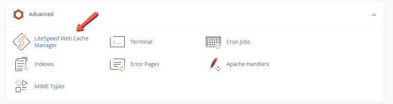 How to Make the Most of LiteSpeed Cache for WordPress | FastComet